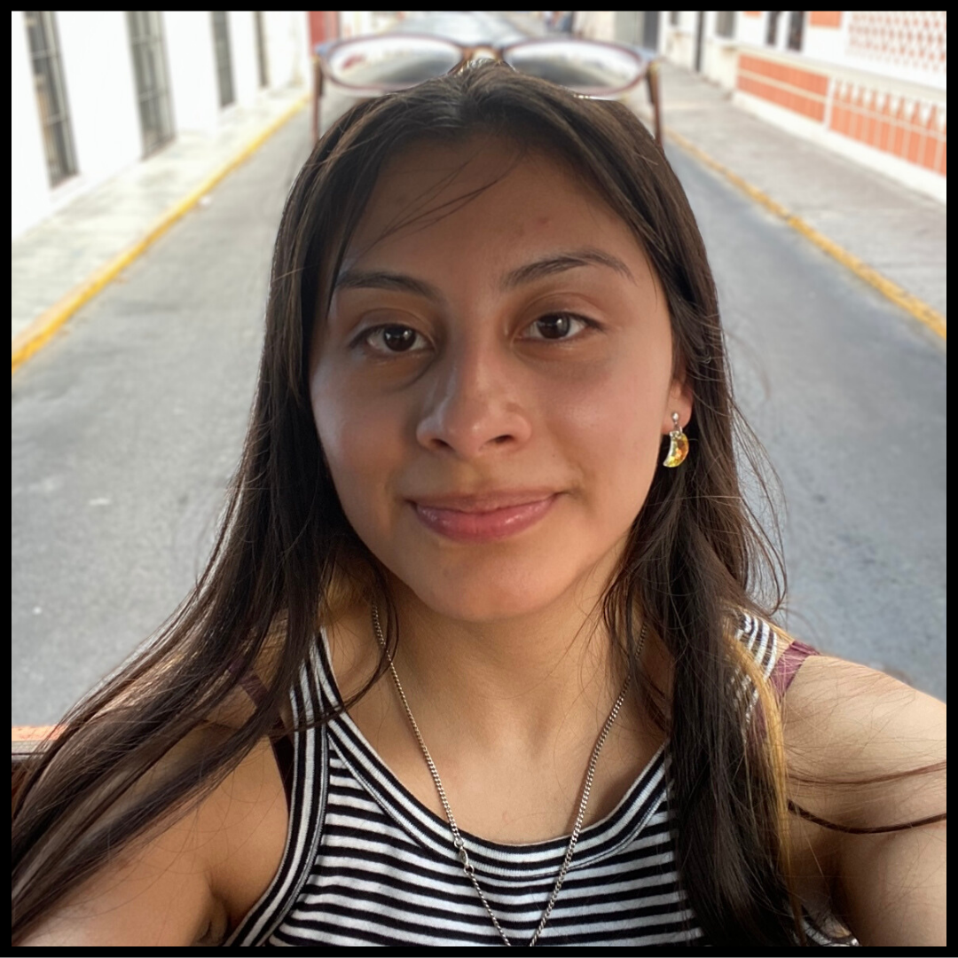 About Our Lab – Dr. Renyi Zhang's Group